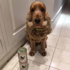 Merijn Mazzocchi Schellekens, mother of Alfie – The Rockster - Healthy ...