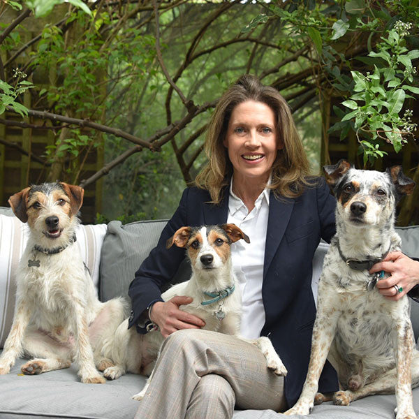 Making headlines, I have been in The Times recently! – The Rockster ...